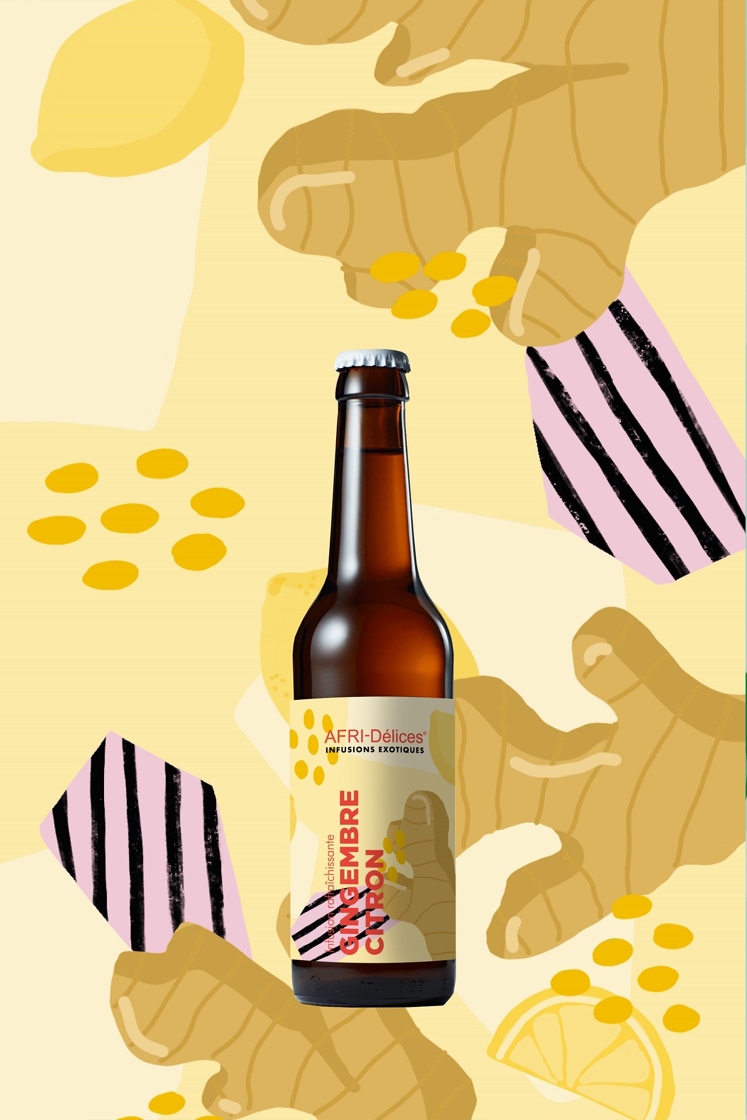AFRI’DELICES GINGEMBRE (12x33cl) – BRASSERIE DULION